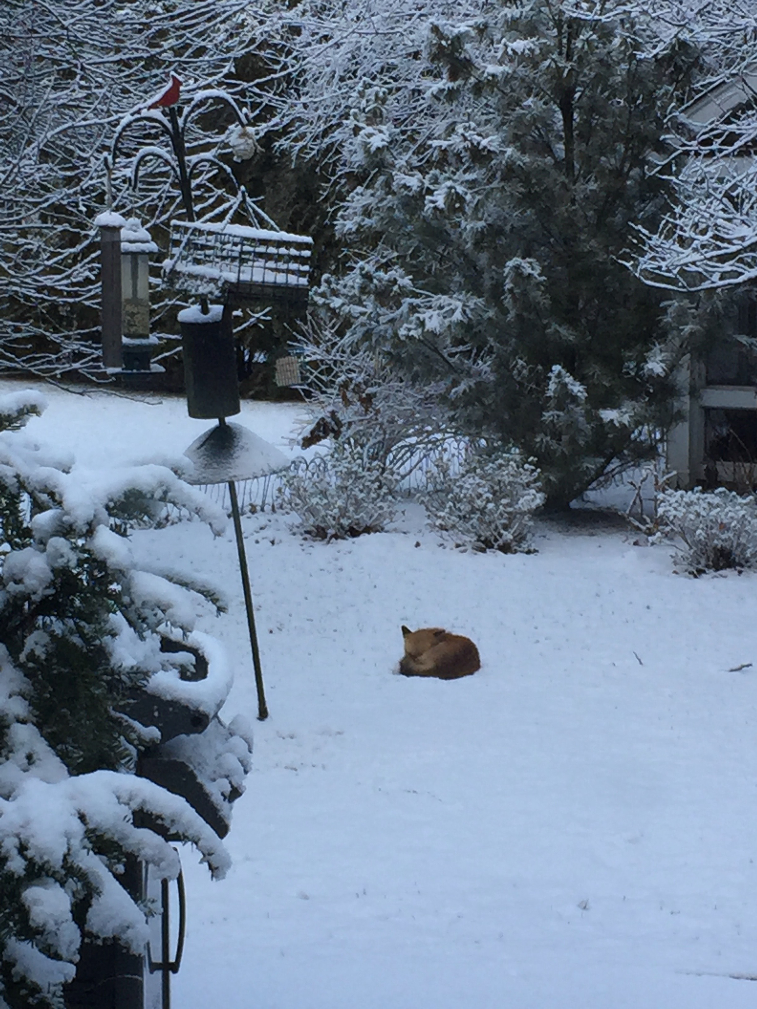 the holy cloak of stillness | pull up a chair